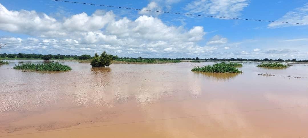 Torrential rains pummel Bawku …ravage over 20 communities, raze numerous farmlands - Ghanaian Times