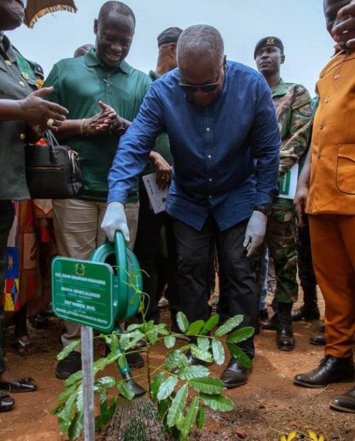 Tree for Life initiative: 7m seedlings to be planted nationwide ...