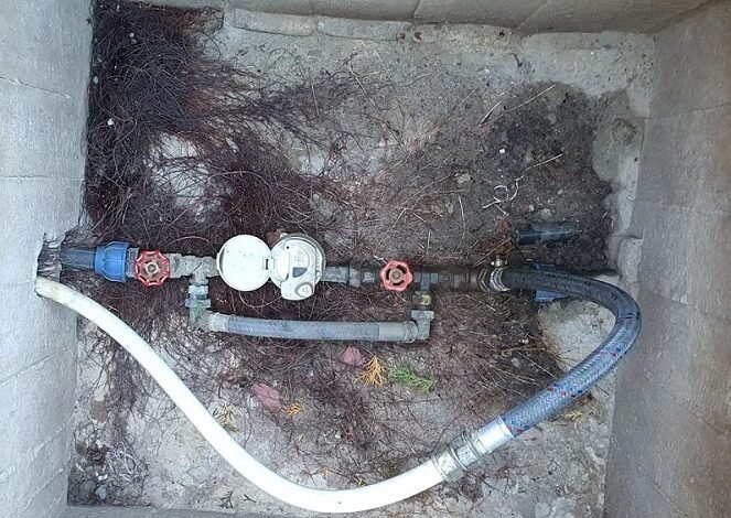 GWL identifies operator involved in illegal water connections ...