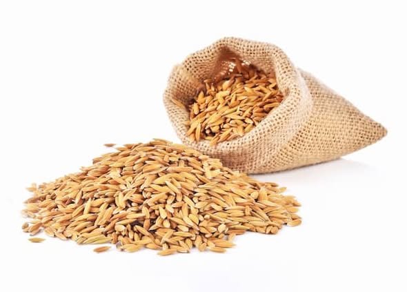 Let’s Eat Ghana Rice to Save Farmers' Livelihoods - Partners - Ghanaian ...