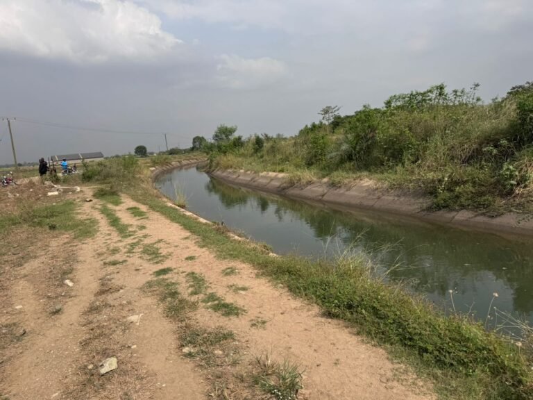 Govt fast-tracks payments to revive Kpong Irrigation project - Minister ...
