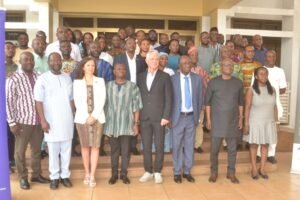 Govt rallies support to fast track off-grid electrification - Ghanaian ...
